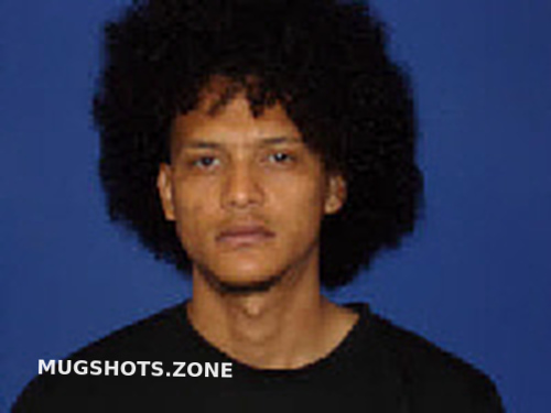 RAMOS JOSHUA RAMON-RIVERA 03/19/2024 - Sampson County Mugshots Zone