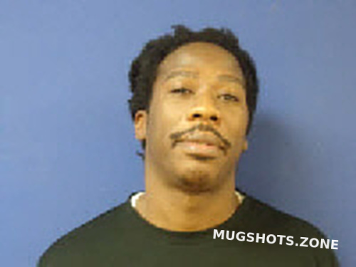 JOHNSON DONTE LAMONT 04/22/2024 - Sampson County Mugshots Zone