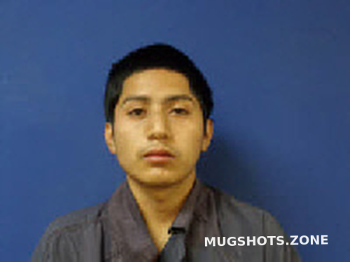 GONZALES ALAN 05/29/2024 - Sampson County Mugshots Zone
