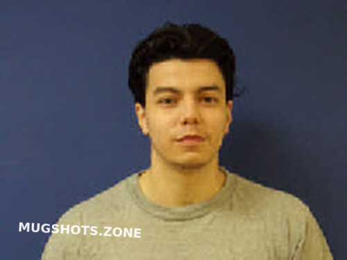 BAUER DRAYTON ANTHONY CHARLES 06/27/2024 - Sampson County Mugshots Zone