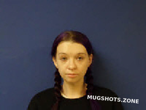 PARTIN AARON MARIE 01/26/2025 - Sampson County Mugshots Zone