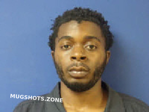 MCNEIL JAMELUS XAVION TALIK 02/05/2025 - Sampson County Mugshots Zone