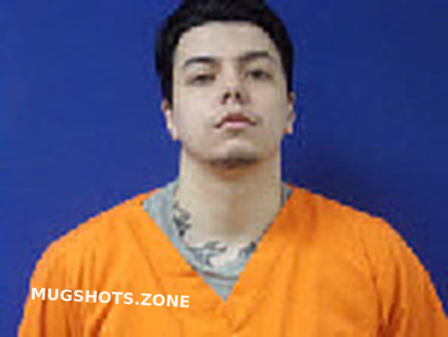 BAUER DRAYTON ANTHONY CHARLES 08/11/2025 - Sampson County Mugshots Zone