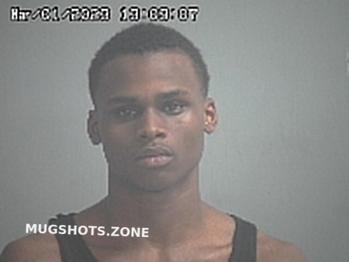 HENDERSON KEVEZ T 03/01/2023 - Sandusky County Mugshots Zone