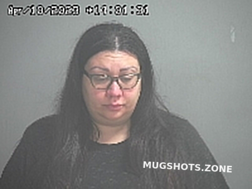PIZANA-ROSAS AMANDA 04/10/2023 - Sandusky County Mugshots Zone