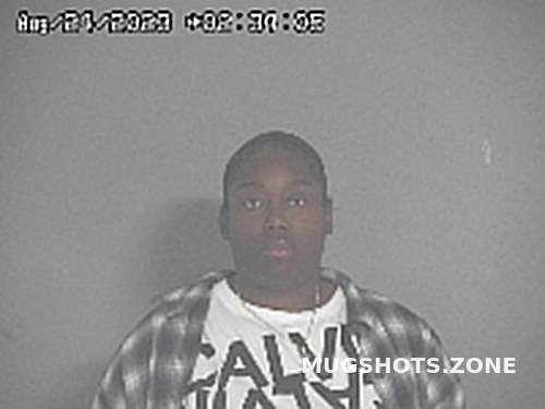 WILLIAMS SHARISE D 08/24/2023 - Sandusky County Mugshots Zone