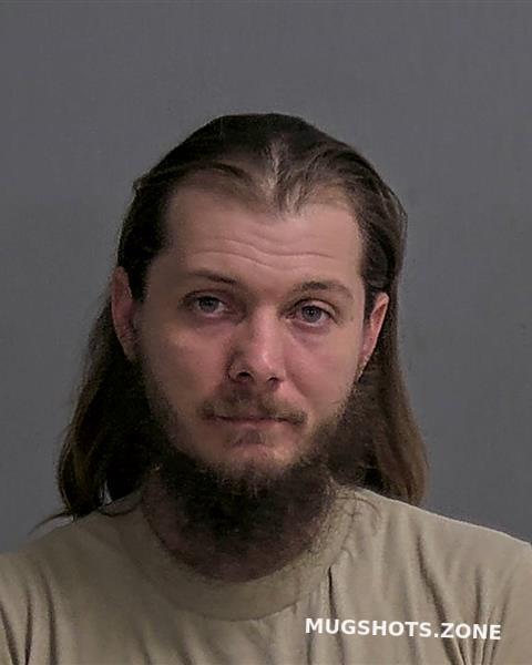 SIMMONS DEVIN H 01/19/2024 - Sandusky County Mugshots Zone