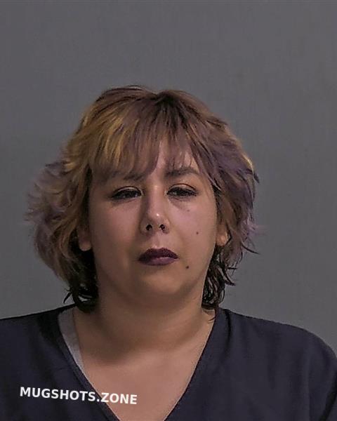 TURNER STACEY A 01/31/2024 - Sandusky County Mugshots Zone