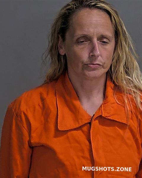 THOMPSON TARA J 06/17/2024 - Sandusky County Mugshots Zone