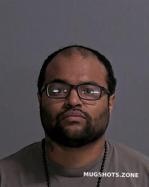 REESE MICHAEL A 07/22/2024 - Sandusky County Mugshots Zone