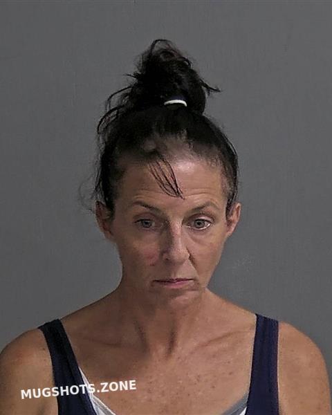 CALZONETTI ELLEN K 08/29/2024 - Sandusky County Mugshots Zone