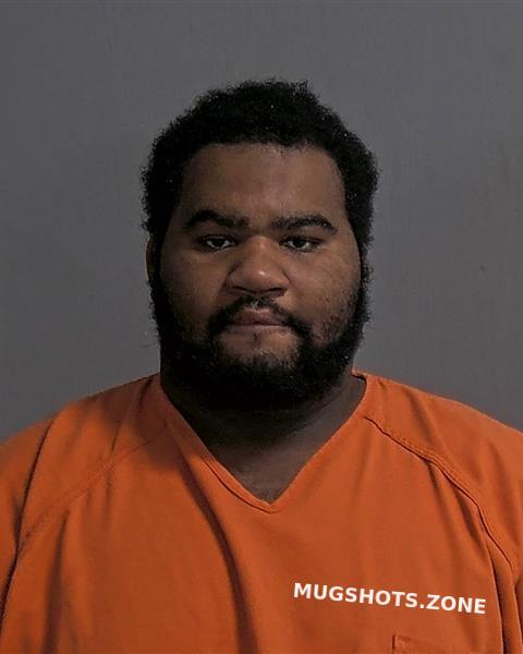 IVY GABRIEL J 10/04/2024 - Sandusky County Mugshots Zone