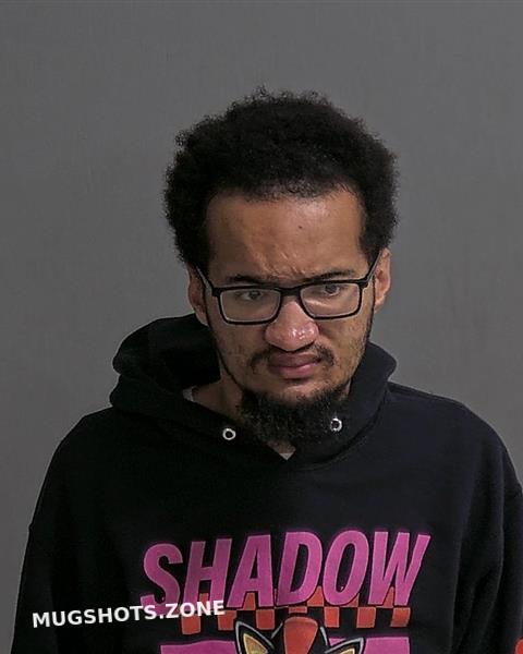 SORG COREY A 11/10/2024 - Sandusky County Mugshots Zone