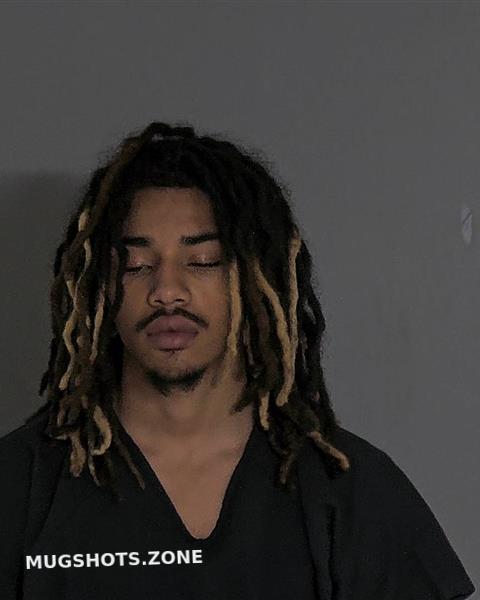 SIMS AMON D 12/01/2024 - Sandusky County Mugshots Zone
