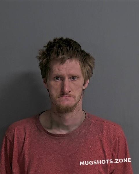 VOLTZ DONALD 03/05/2025 - Sandusky County Mugshots Zone
