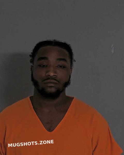 TUCKER DEMETRIUS L 03/10/2025 - Sandusky County Mugshots Zone