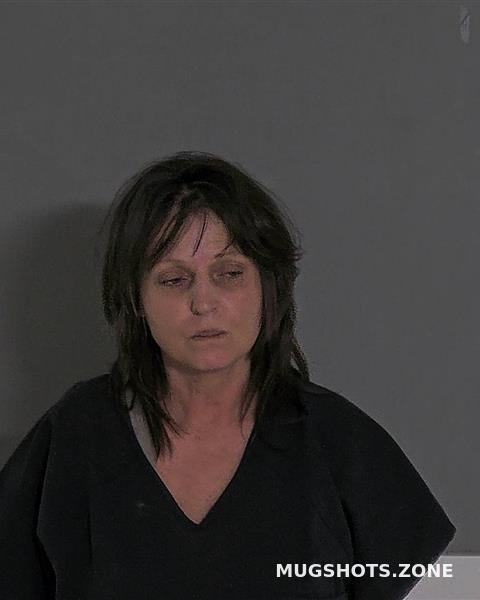 RUGGIERO LISA 03/17/2025 - Sandusky County Mugshots Zone