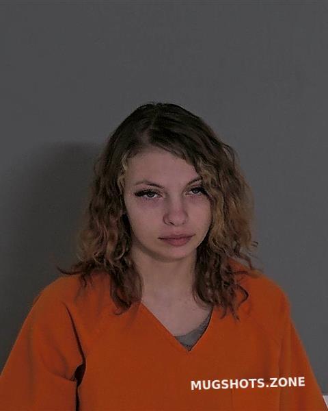 ENGLAND TRINITY M 03/22/2025 - Sandusky County Mugshots Zone