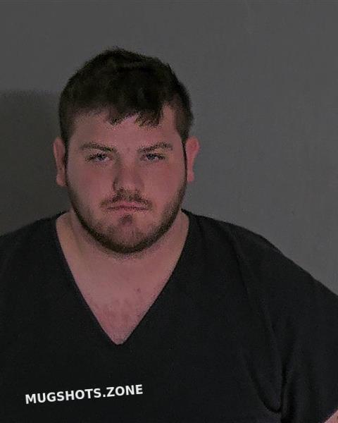 DIMARE AARON 03/26/2025 - Sandusky County Mugshots Zone
