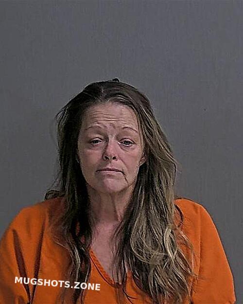 RAGEN SUSAN DAWN 02/26/2026 - Sandusky County Mugshots Zone