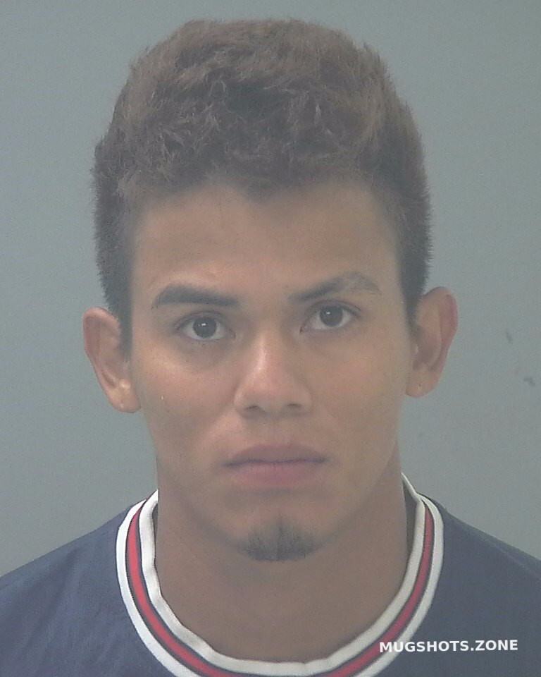 MUNGUIA HERNANDEZ DELIO JOSUE 06/17/2022 - Santa Rosa County Mugshots Zone