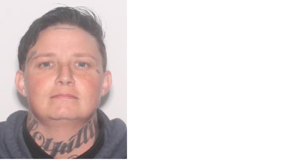 HARSHMAN SARAH ASHLEY 06/29/2023 - Santa Rosa County Mugshots Zone