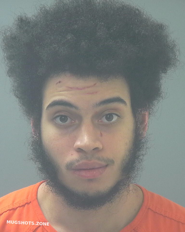 FERNANDEZ BRIAN MARCOS 01/22/2024 - Santa Rosa County Mugshots Zone