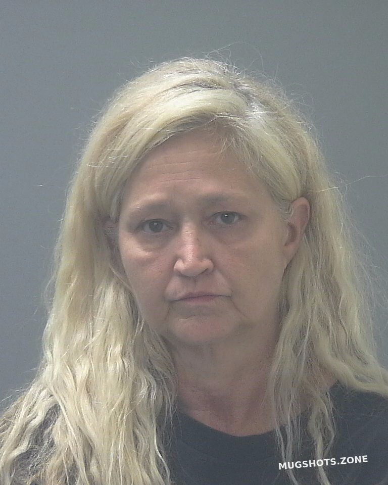 IRELAND SHAWN MICHELLE 01/25/2024 - Santa Rosa County Mugshots Zone
