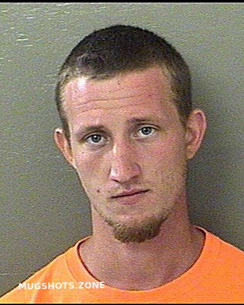 JOHNSON BRADLEY SHAWN 06/03/2024 - Santa Rosa County Mugshots Zone