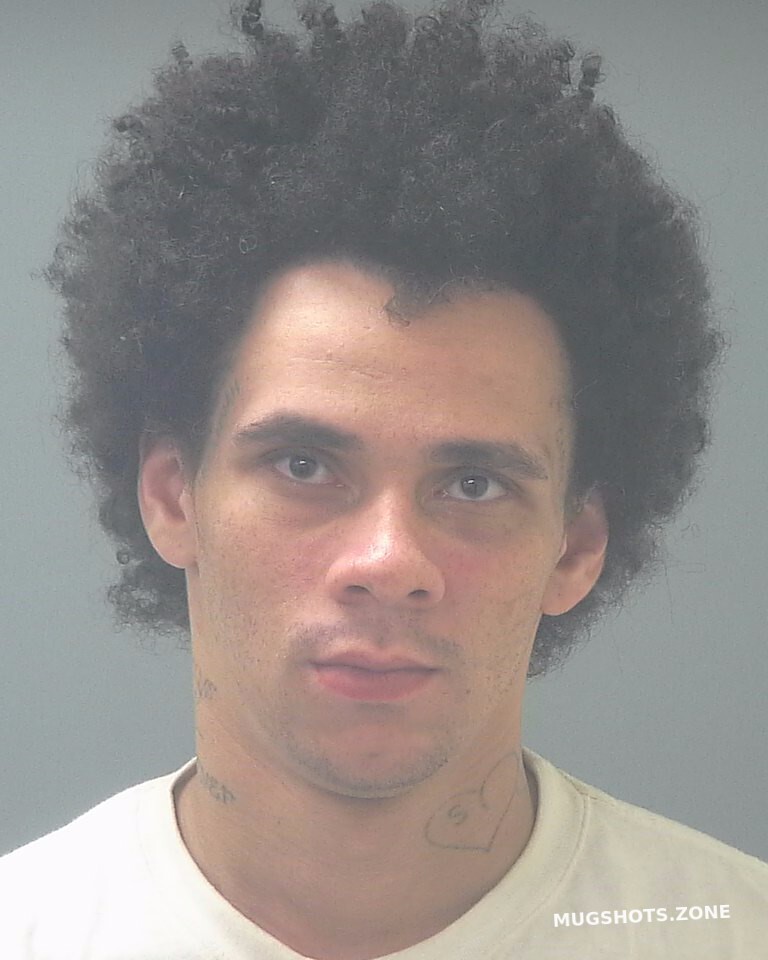 RIGGINS DYLAN LAMONT 08/30/2024 - Santa Rosa County Mugshots Zone