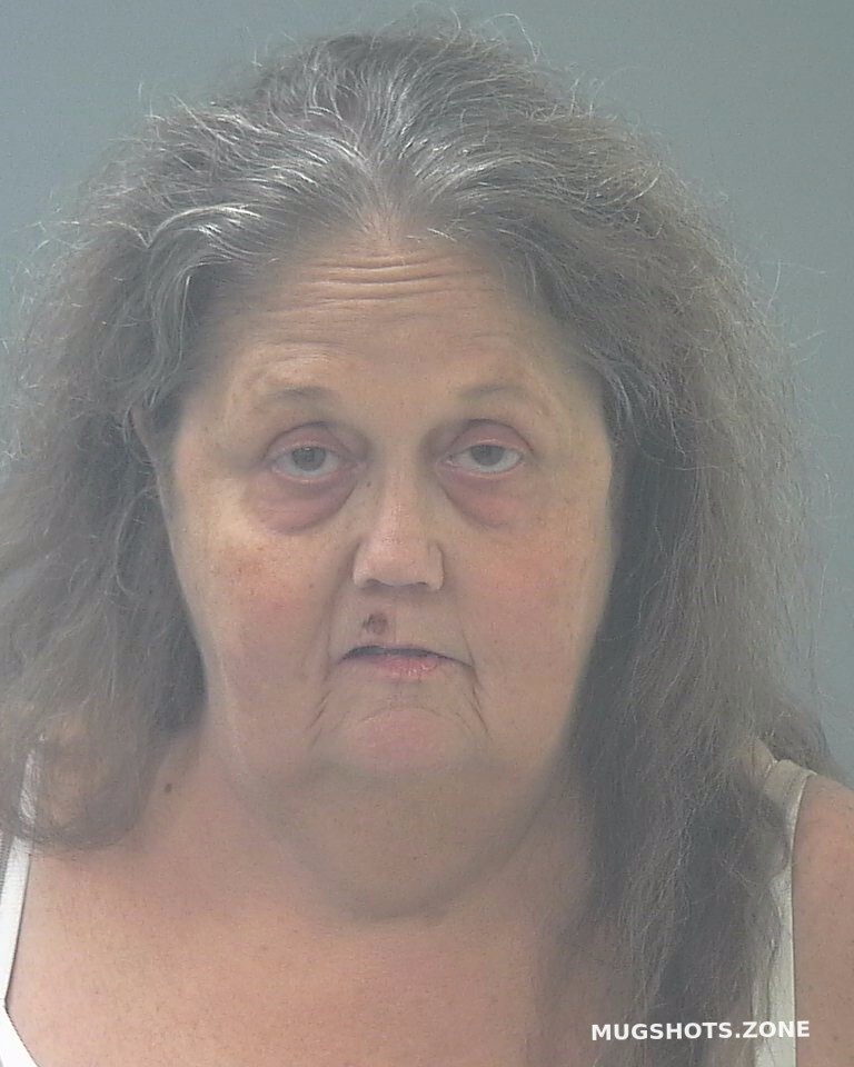 RAUGHT PATTY RENAE 11/20/2024 - Santa Rosa County Mugshots Zone