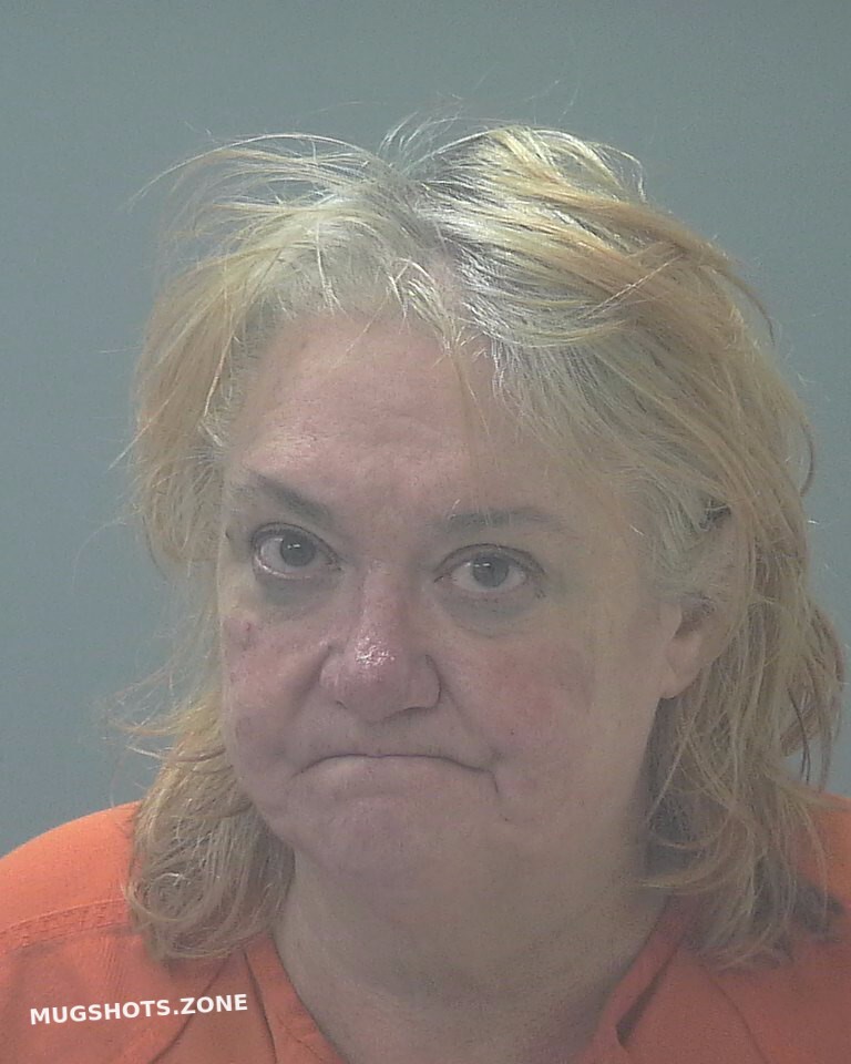 STRAUSER CYNTHIA KAY 11/26/2024 - Santa Rosa County Mugshots Zone