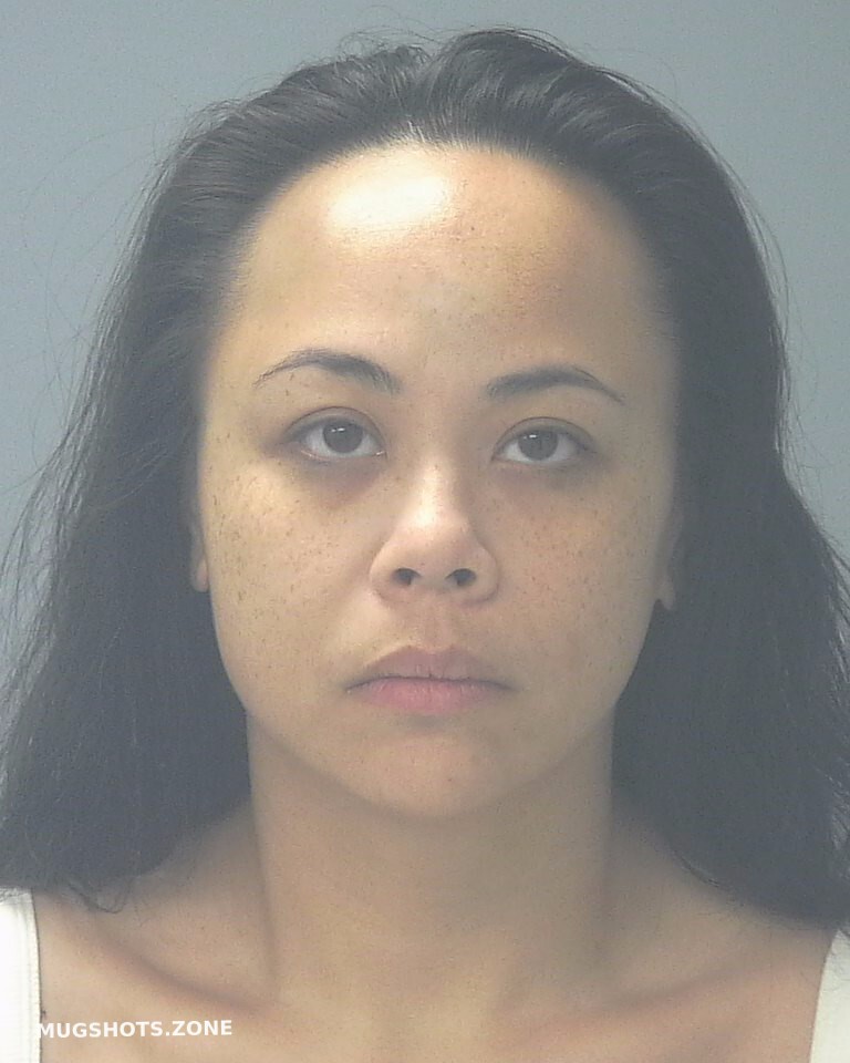 VAN SCYOC MELANIE REGINA 03/08/2025 - Santa Rosa County Mugshots Zone