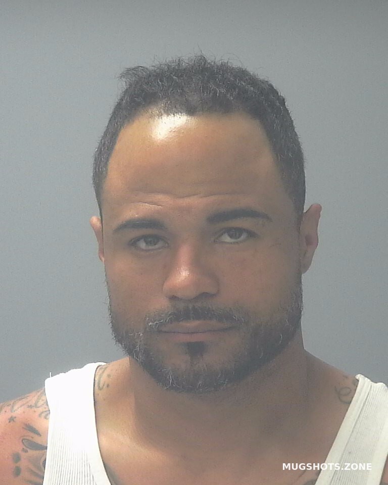 JOHN-PIER CHRISTOPHER LEE 03/19/2025 - Santa Rosa County Mugshots Zone