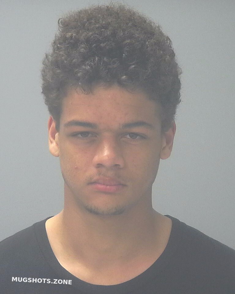 LANDRUM ANTHONY LAMAR 05/06/2025 - Santa Rosa County Mugshots Zone
