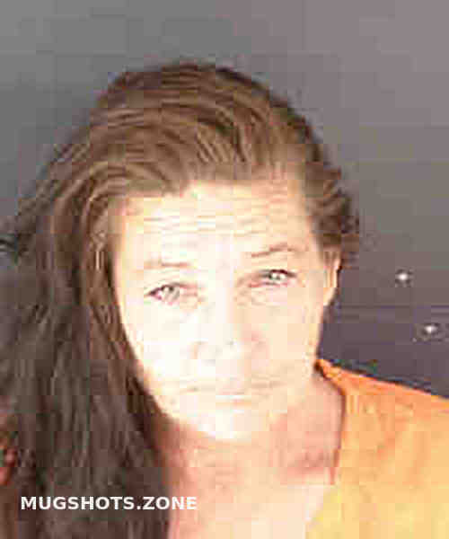 DYER STACIE LYNN 08/01/2022 - Sarasota County Mugshots Zone