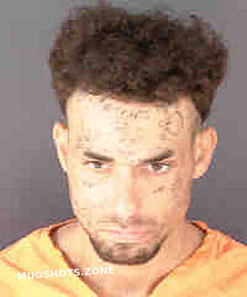 COLEMAN SOLOMON BAILEY 08/18/2022 - Sarasota County Mugshots Zone