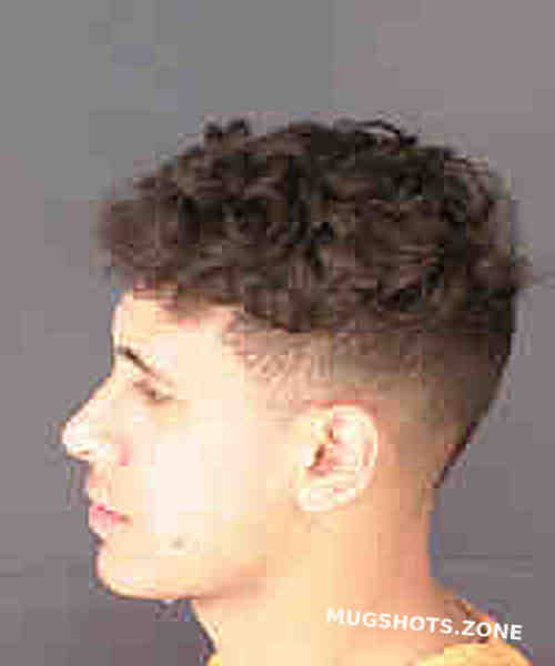 SANTIAGO NIEVES KENNETH NIEVES KENNETH 11/13/2022 - Sarasota County ...