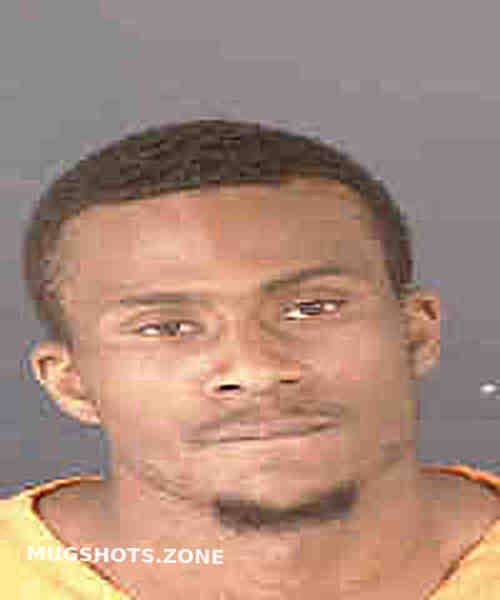 FORD TYREE MICHEL 11/22/2022 - Sarasota County Mugshots Zone