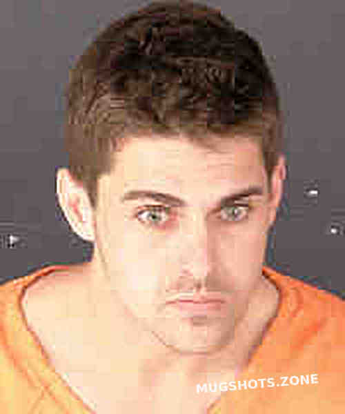 BALAKHANI BENJAMIN RILEY 03/20/2023 - Sarasota County Mugshots Zone