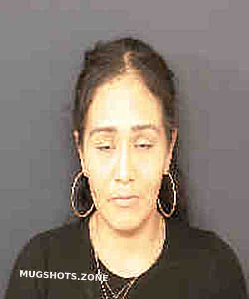 PEREZ ANNABEL 04/04/2023 - Sarasota County Mugshots Zone