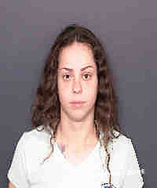 VILLARREAL TAYLOR ANNETTE 04/06/2023 - Sarasota County Mugshots Zone