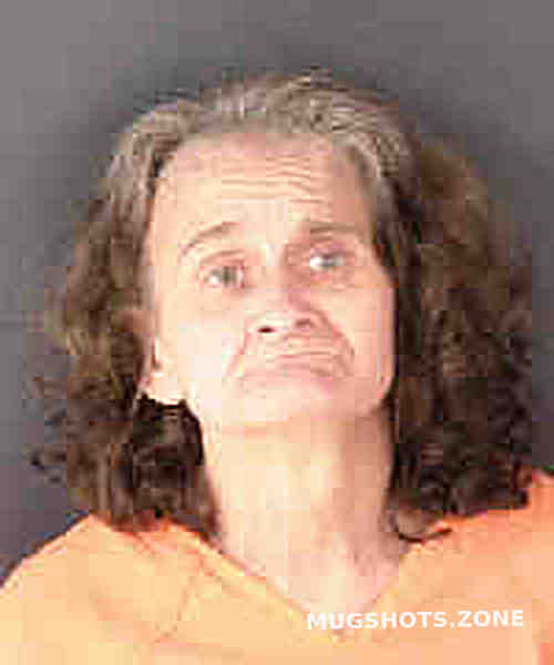 PRENTKY ELLEN PATRICIA 05/17/2023 - Sarasota County Mugshots Zone