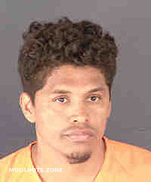 DENIS JORGE LUIS WILLIAMS 05/24/2023 - Sarasota County Mugshots Zone
