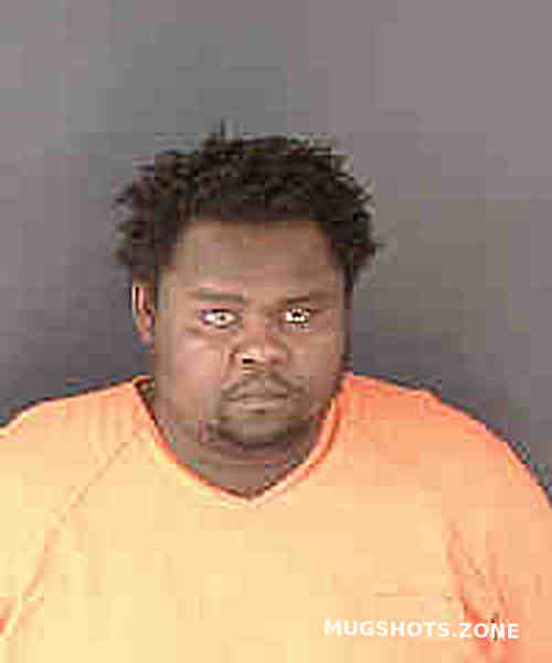 SPARKES ERIC RASHAD 08/20/2023 - Sarasota County Mugshots Zone