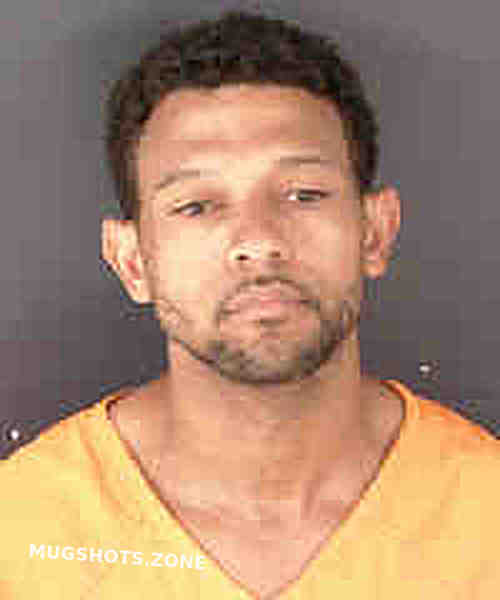 LEWIS GLYNN LAMAR 08/28/2023 - Sarasota County Mugshots Zone