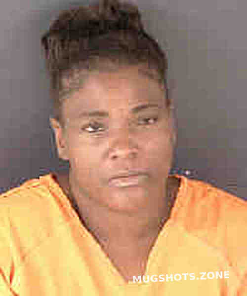 VINSON PATRICIA FAY 09/12/2023 - Sarasota County Mugshots Zone