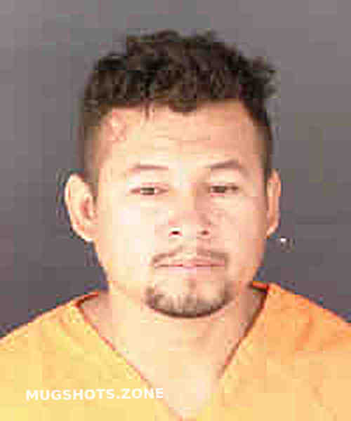 ALVARADO RONALD ESTEBAN CHOW 09/24/2023 - Sarasota County Mugshots Zone