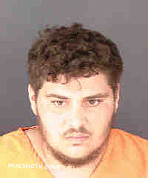 IONUT GABRIEL NICULAE GABRIEL NICULAE 10/07/2023 - Sarasota County ...