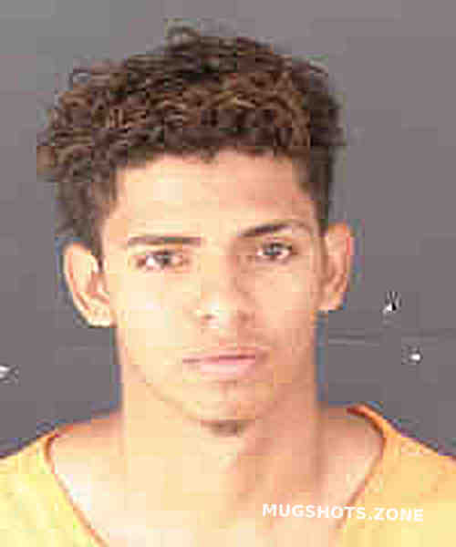 MACKLIN RAYLE JAVIER RAYLE JAVIER GREGORIO 04/14/2024 - Sarasota County ...